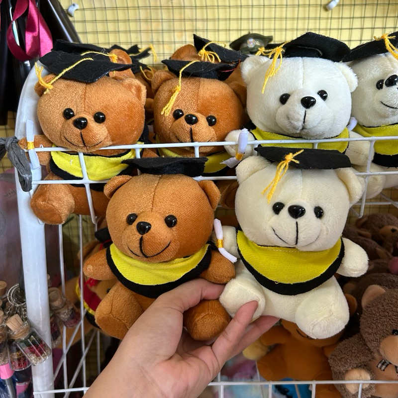 Jual Boneka Wisuda Boneka mini boneka Teddy bear mini 15Cm | Shopee ...