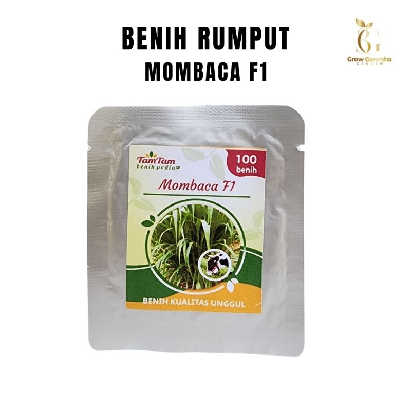 Jual BENIH RUMPUT MOMBACA F1 SUPER ORIGINAL || 100 BIJI | Shopee Indonesia