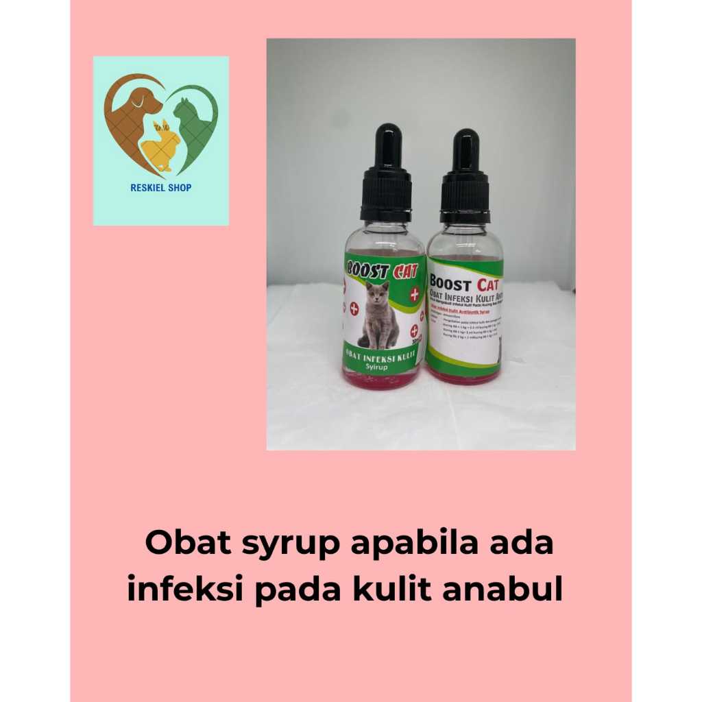 Jual obat infeksi kulit kucing | Shopee Indonesia