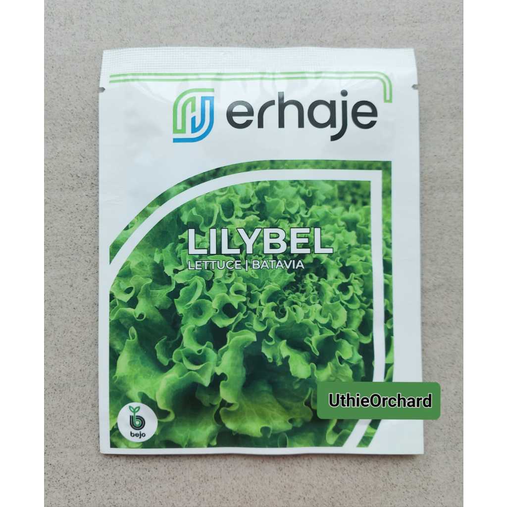 Jual Benih Bejo Seed - Selada Batavia Lilybel Kemasan 1000 pills ...