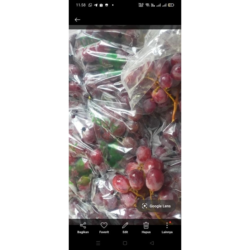 Jual Buah anggur merah red globe PERU ada biji | Shopee Indonesia