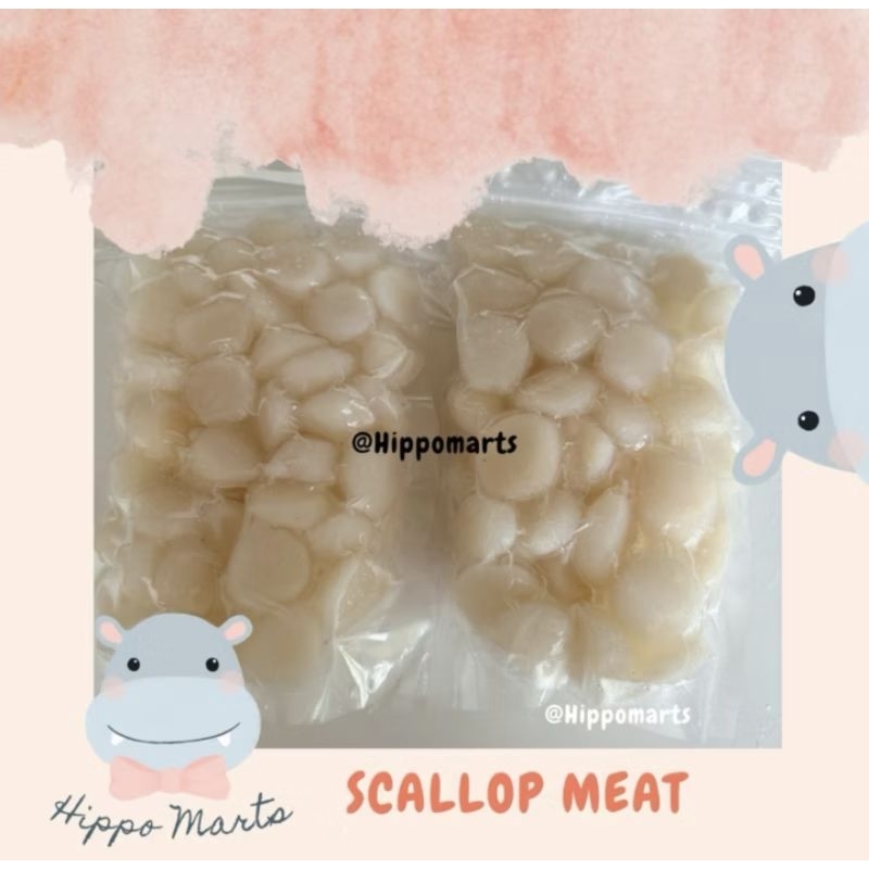 Jual Scallop Fresh Frozen / Kerang Kampak / Kerang Simping | Shopee ...