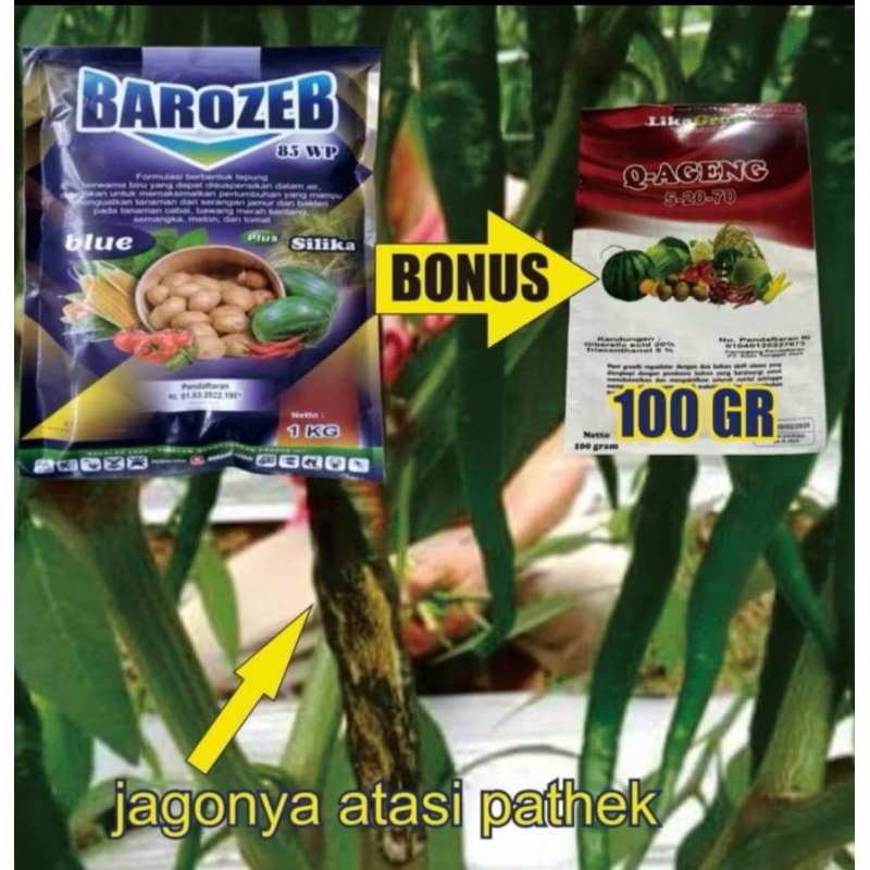 Jual Barozeb Fungisida Mancozeb Biru bonus zpt likagrow ga3 | Shopee ...