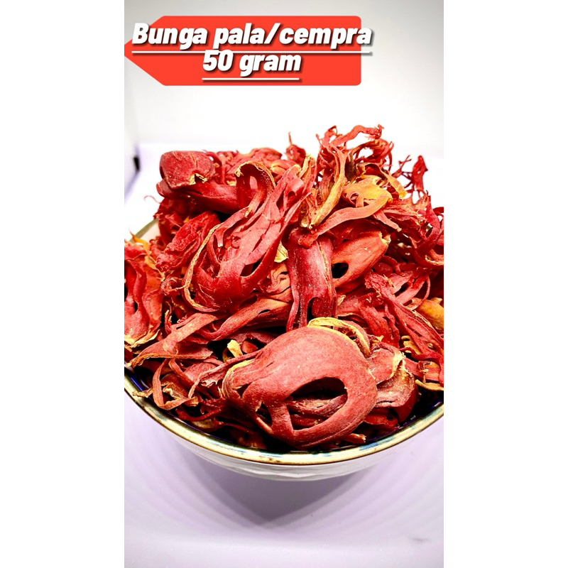 Jual Bunga pala kering 50gr / cempra / puli / kembang pala / rempah ...