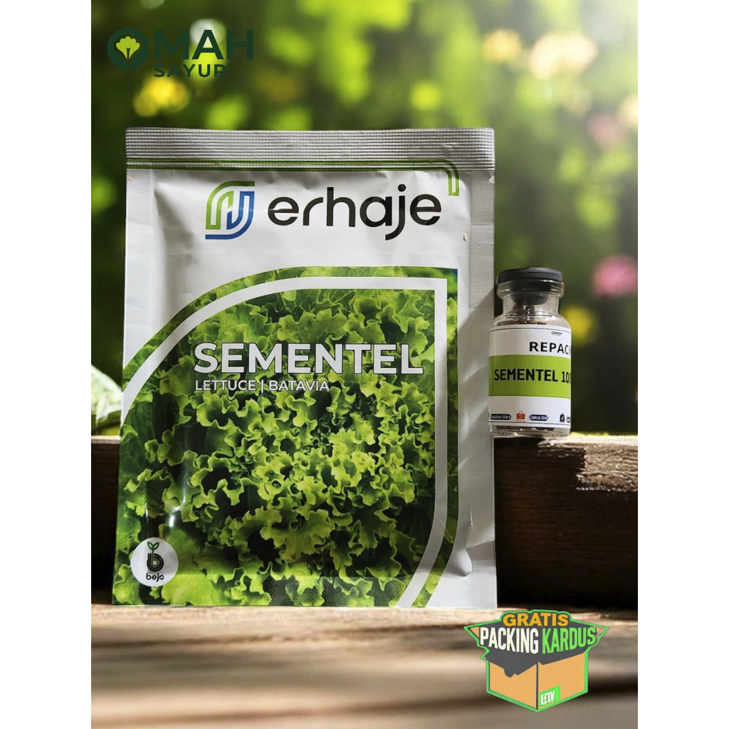 Jual [REPACK-100 Pills] Benih Selada Bejo SEMENTEL Benih Lettuce ...