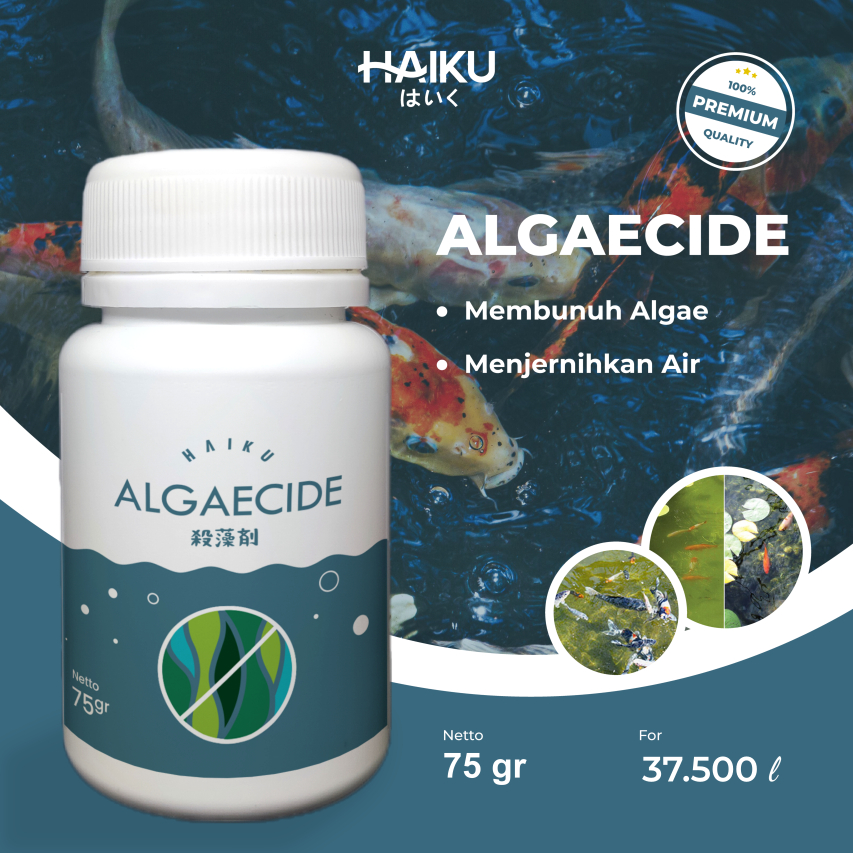 Jual Haiku Algaecide - Anti Algae dan Lumut Menjernihkan Kolam Ikan dan ...