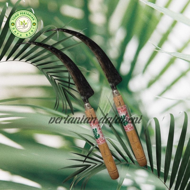Jual ARIT PANEN PADI BERGIGI MANUAL BAJA ASLI | Shopee Indonesia