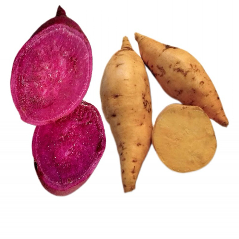 Jual aneka ubi berbagai macam ubi jalar (ubi cilembu, ubi ungu, ubi ...