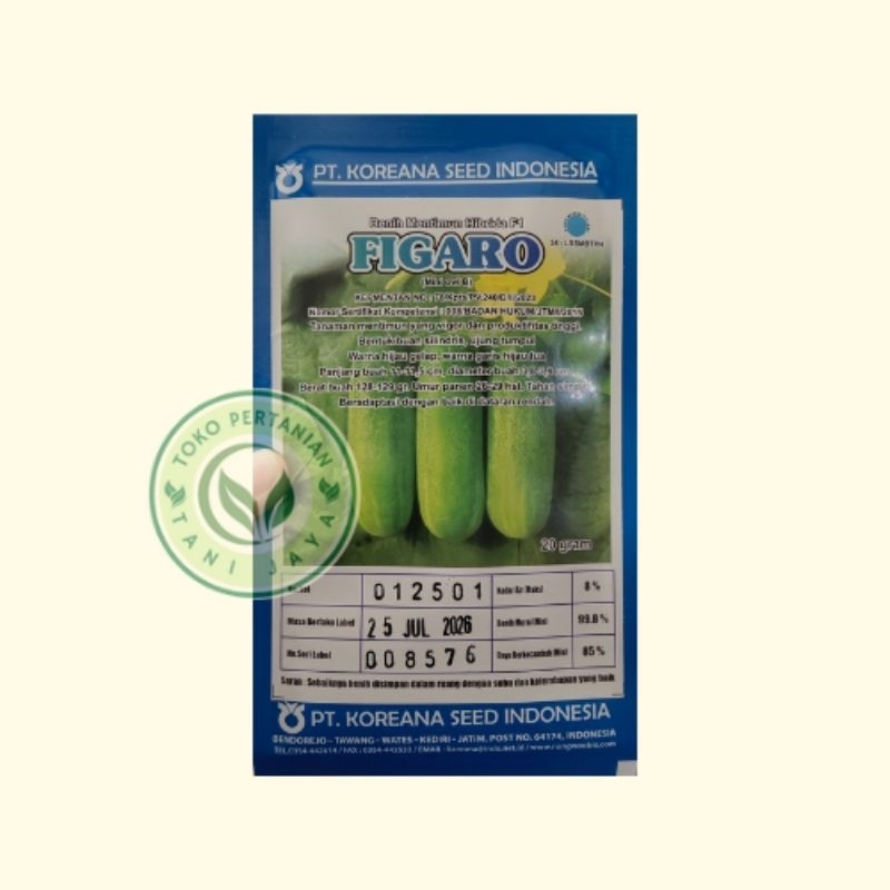 Jual Benih bibit timun baby timun kecil | TIMUN HIBRIDA F1 FIGARO ...