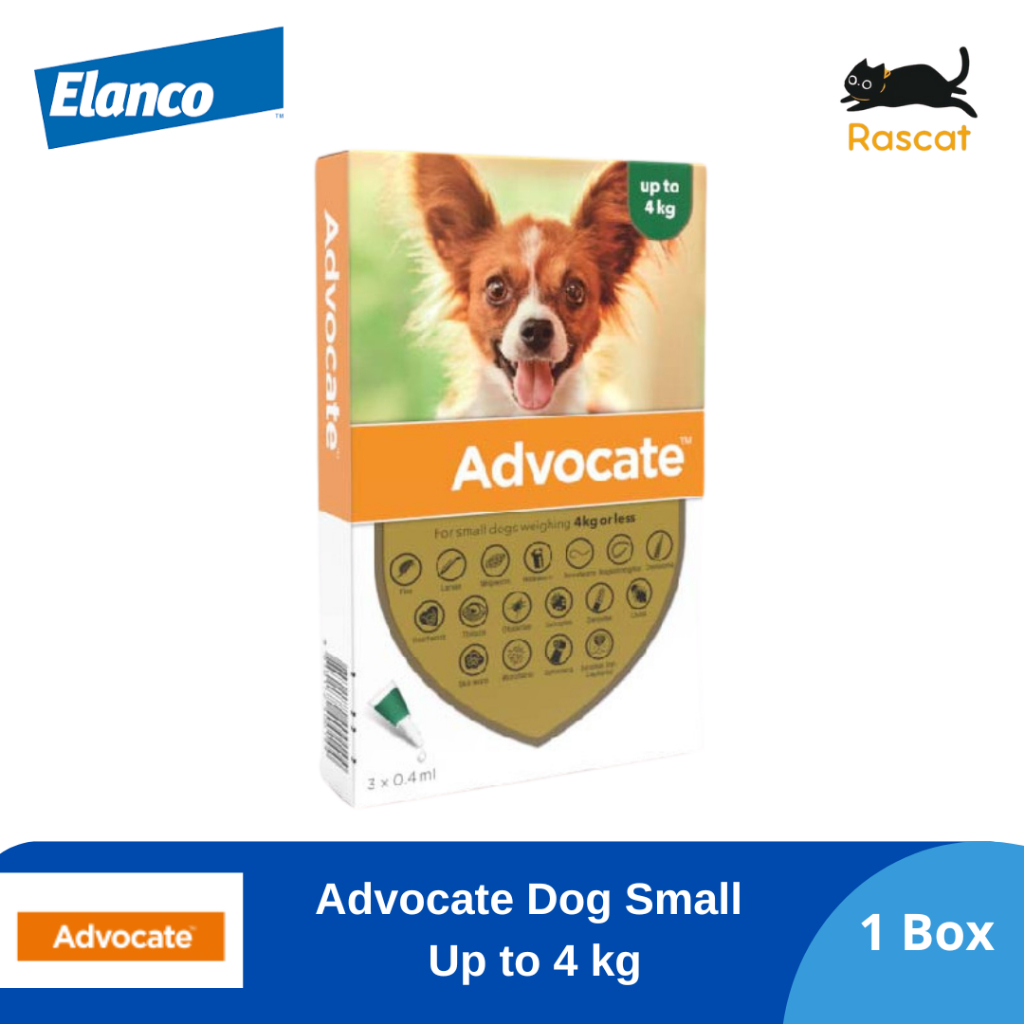 Jual Advocate Dog Small 1- 4 KG / Obat Kutu Anjing Kitten 1 Box ...