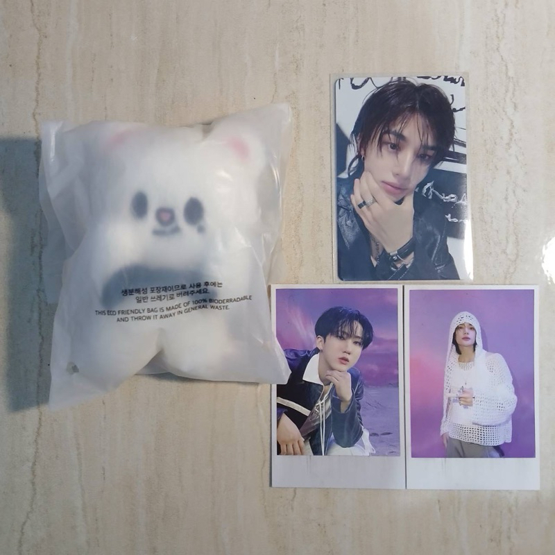 Jual [RESTOCK] Skzoo Magnet Plush Keyring Baby Version Micro Keyring ...