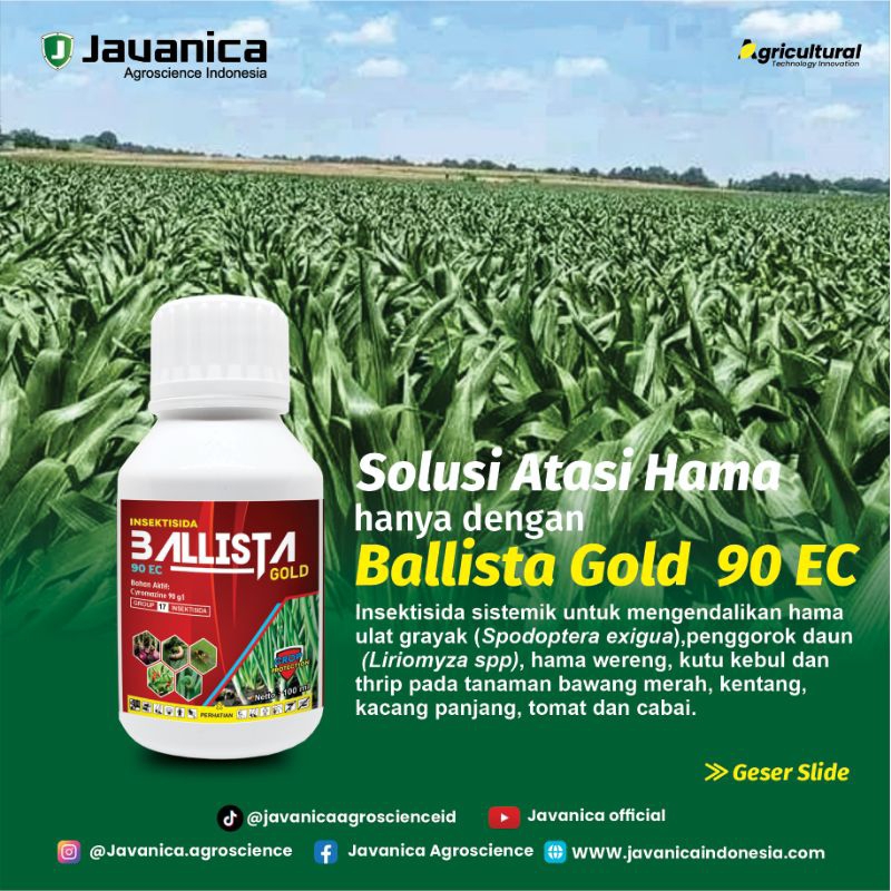 Jual JAVANICA / BALLISTA GOLD 90 EC ( 100ml ) | Shopee Indonesia