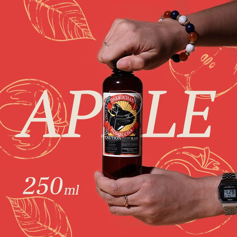 Jual Dakkochan Kombucha Apple 250ml | Shopee Indonesia