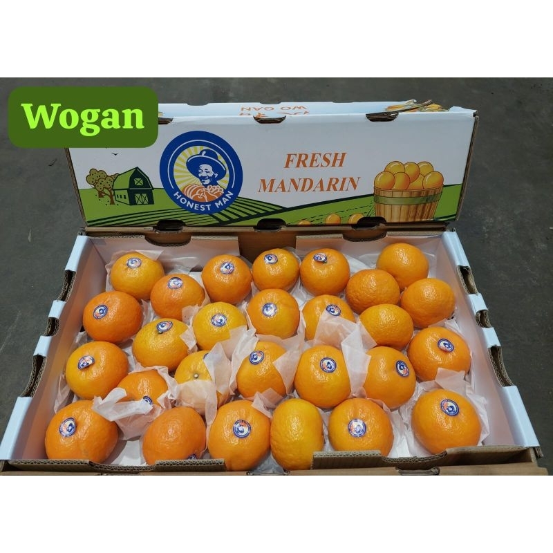 Jual JERUK WOGAN MANDARIN HONESTMAN ( BERAT 8 KG) | Shopee Indonesia
