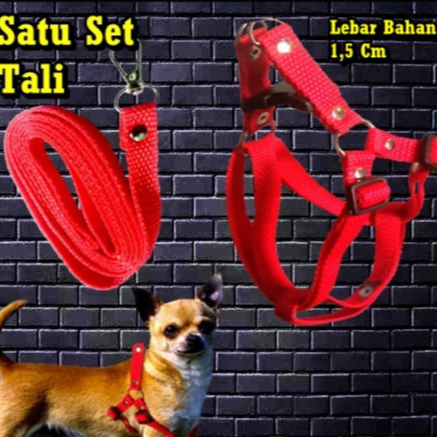 Jual Harness Anjing Kecil Dan Kucing Besar Satu Set Tali Tuntun Panjang ...