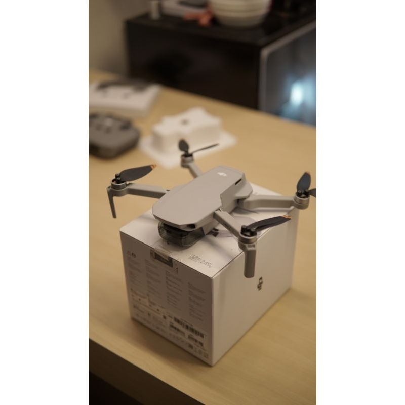 Jual DJI MINI 2 SE basic (second) | Shopee Indonesia