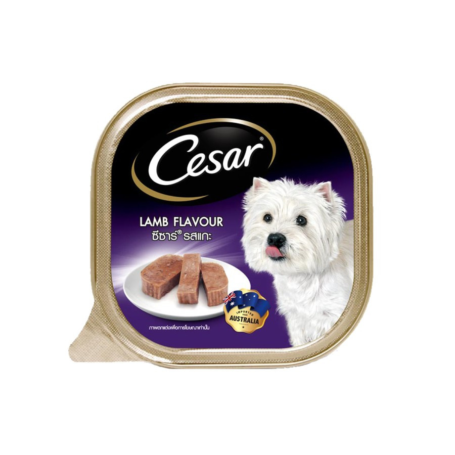 Jual Cesar Wet Dog Food All Varian 100 Gram Makanan Anjing 100gram ...