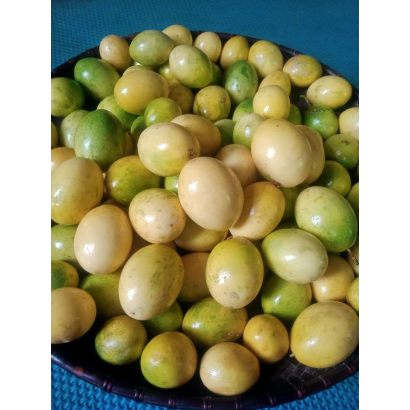 Jual Buah Markisa kuning Matang Dari Pohon/1kg | Shopee Indonesia