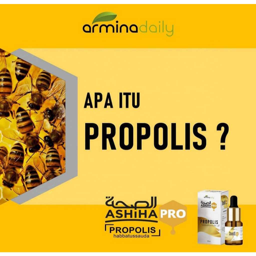 Jual Propolis Ashiha Pro Habbatussauda Armina Daily | Shopee Indonesia