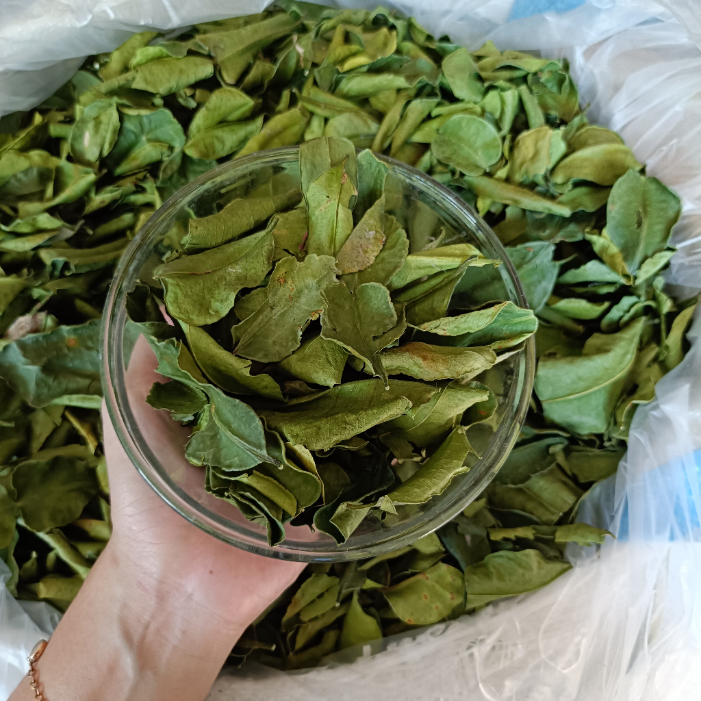Jual DAUN JERUK PURUT KERING - DAUN JERUK PREMIUM AROMA KHAS | Shopee ...