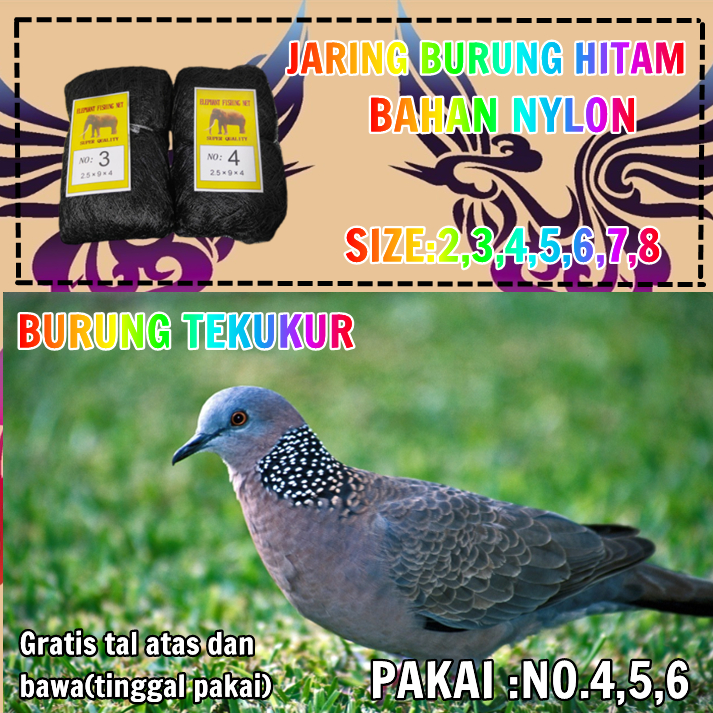 Jual JARING BURUNG TEKUKUR JARING BURUNG SIAP PAKAI JARING JALAK KEBO ...