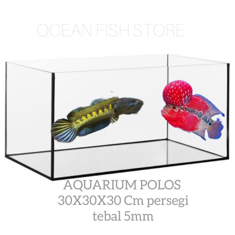 Jual AQUARIUM ukuran 30X30X30 Cm polos tebal 5mm | Shopee Indonesia