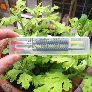 Jual Stik Grafting Telur Larva Lebah Premium Isi 2 Beekeepings ...