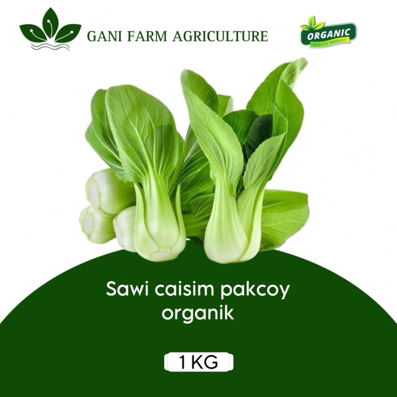 Jual Sawi Caisim/Sawi Sendok/Pakcoy 1 kg | Shopee Indonesia