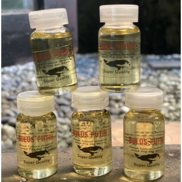 Jual MINYAK BULUS PUTIH ORI ASLI ORIGINAL PEMBESAR | Shopee Indonesia