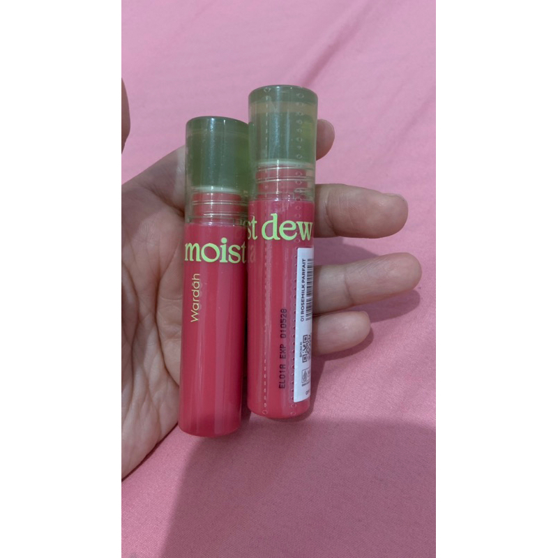 Jual WARDAH Moist Dew Tint 3gr 01 Rosemilk Parfait | Shopee Indonesia