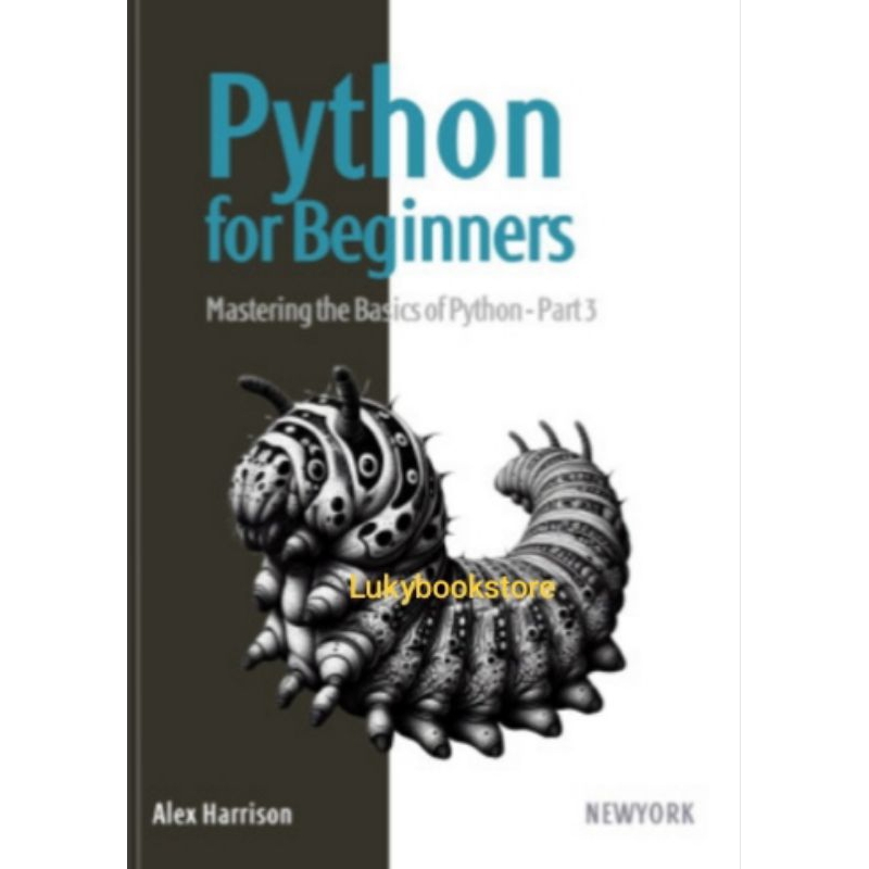 Jual Buku Python for Beginners Mastering the Basics of Python Part 3 | Shopee Indonesia