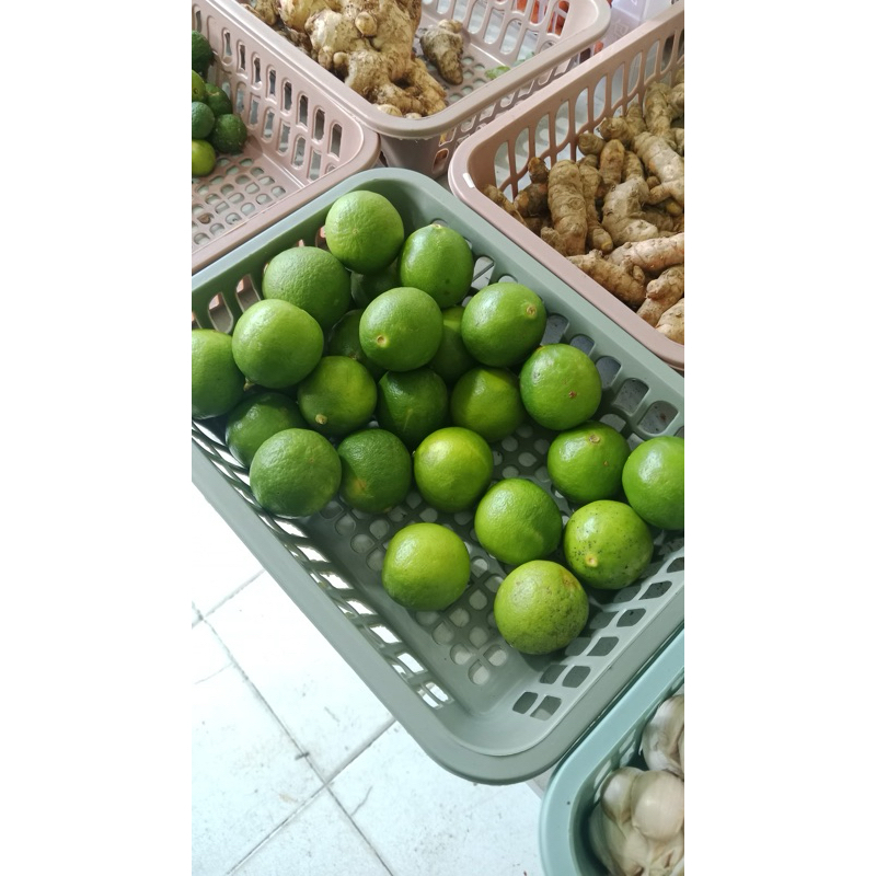 Jual Jeruk Nipis 1 kg | Shopee Indonesia