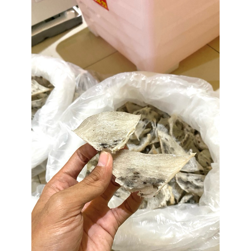 Jual Sarang Burung Walet SUDUT Putih Jawa Kotor 100% Original (HARGA ...