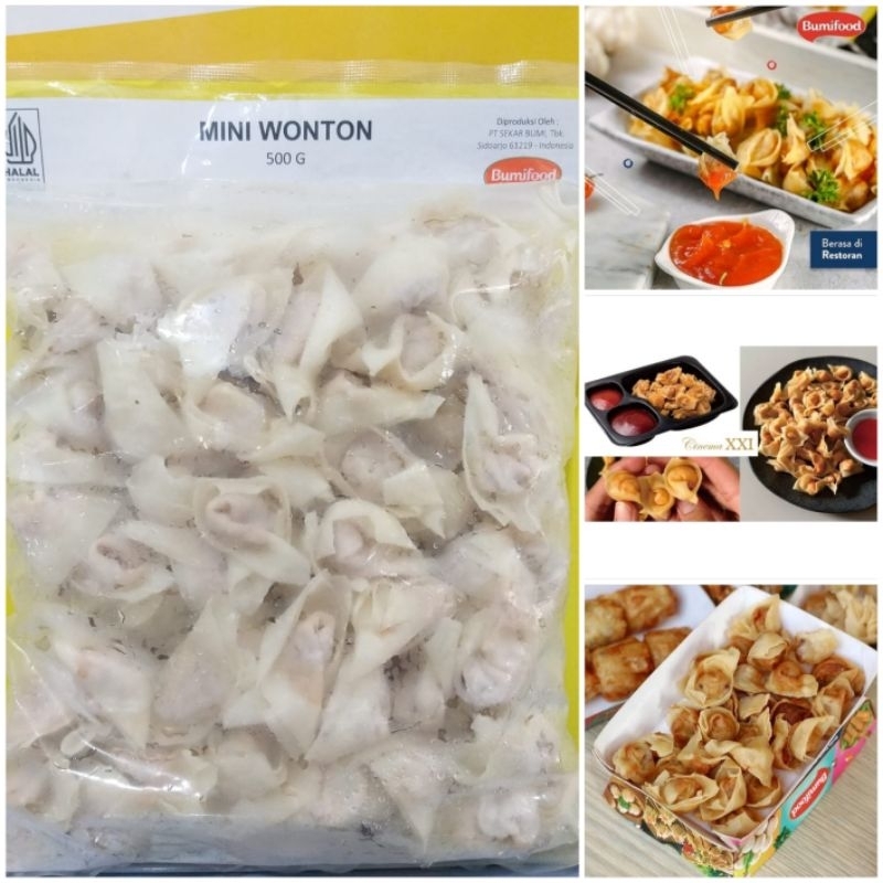 Jual Bumi Food Mini Wonton / Pangsit Mini Frozen / Snack XXI Premium ...