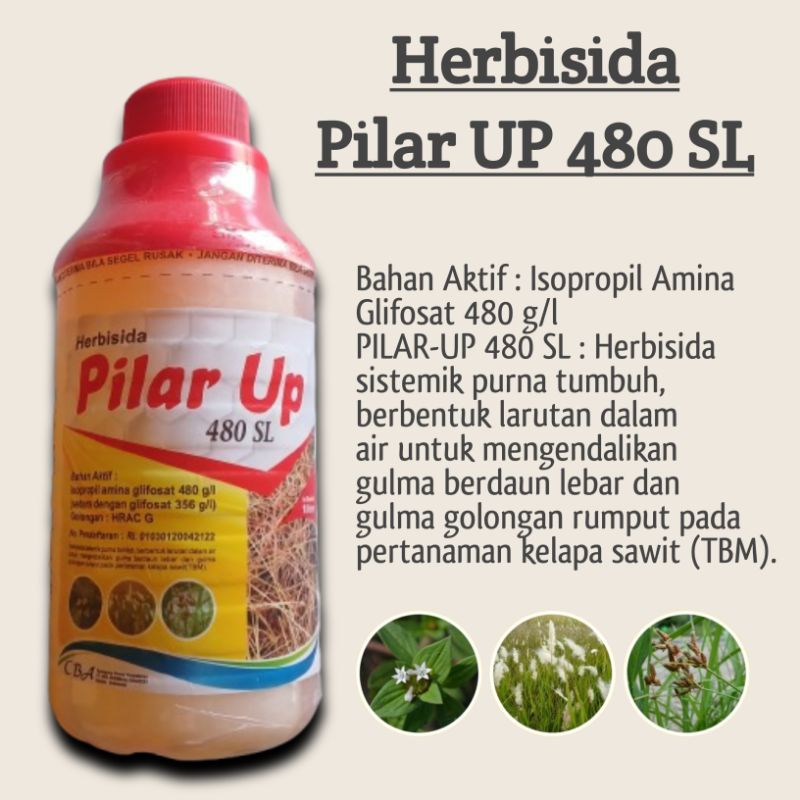 Jual Pilar Up 480 SL Herbisida/Racun Rumput Sistemik | Shopee Indonesia
