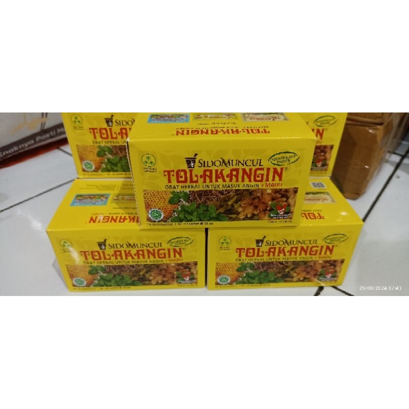 Jual Tolak angin herbal isi 12pc/box | Shopee Indonesia