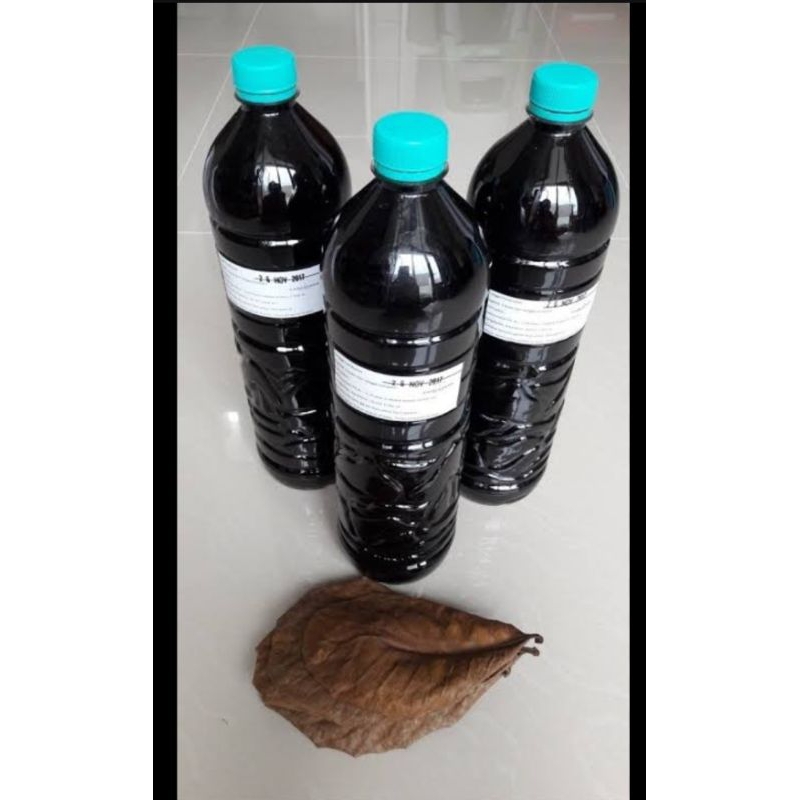 Jual botol ketapang obat ikan ( chana limbata) | Shopee Indonesia