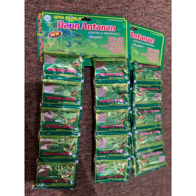Jual DAUN ANTANAN ORIGINAL KAPSUL | Shopee Indonesia