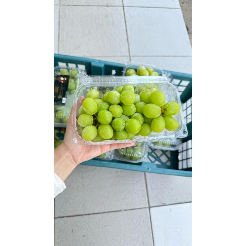 Jual Anggur Muscat (500 GRAM) | Shopee Indonesia