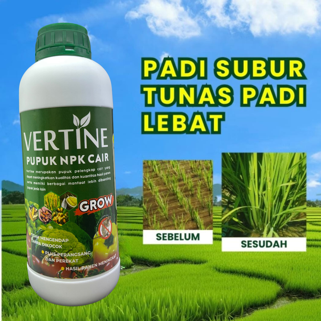 Jual Vertine Padi 1 Liter - Pupuk NPK Cair Pelebat Anakan Padi dengan ZPT & GA3 untuk Hasil ...