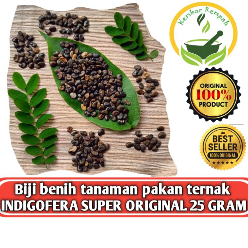Jual Biji Benih Tanaman Pakan Ternak INDIGOFERA SUPER ASLI KEMASAN 25 ...
