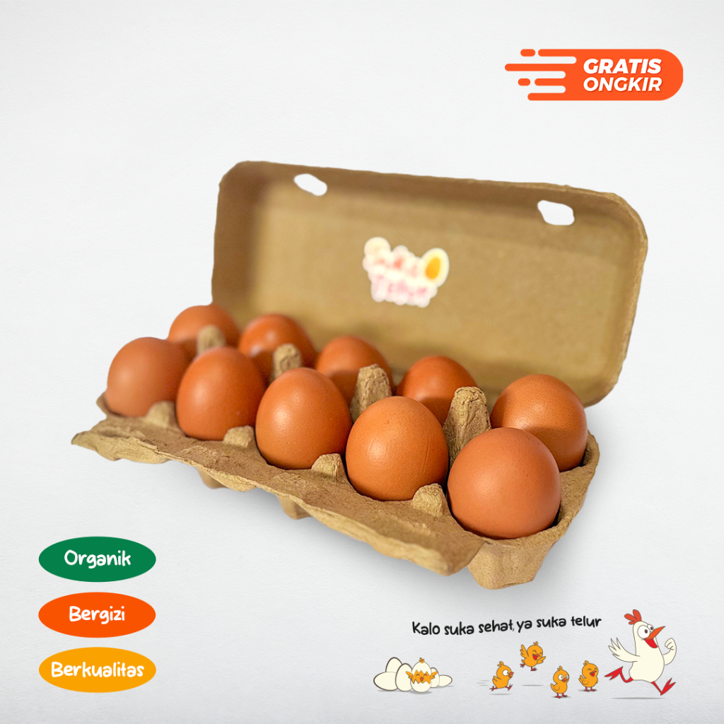 Jual Telur Omega 3 Fresh (10 Butir) - Telur Sehat Anak & Keluarga ...