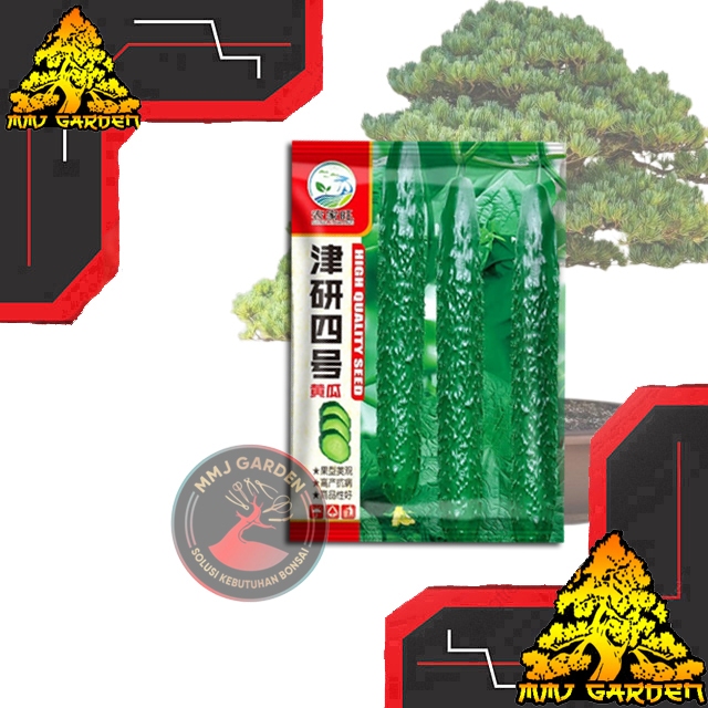 Jual MMJ GARDEN-JUAL BIJI TIMUN KYURI iMPORT ASAL JAPAN | Shopee Indonesia