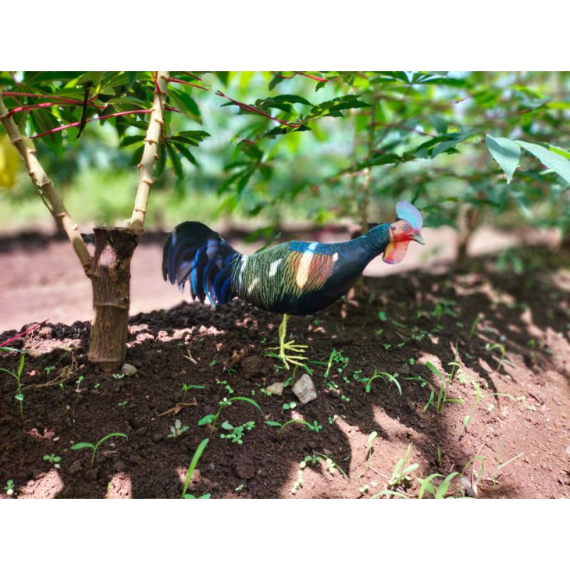 Jual PATUNG JONTROT AYAM HUTAN HIJAU JANTAN MIRIP ASLI AMPUH - JONTROT ...