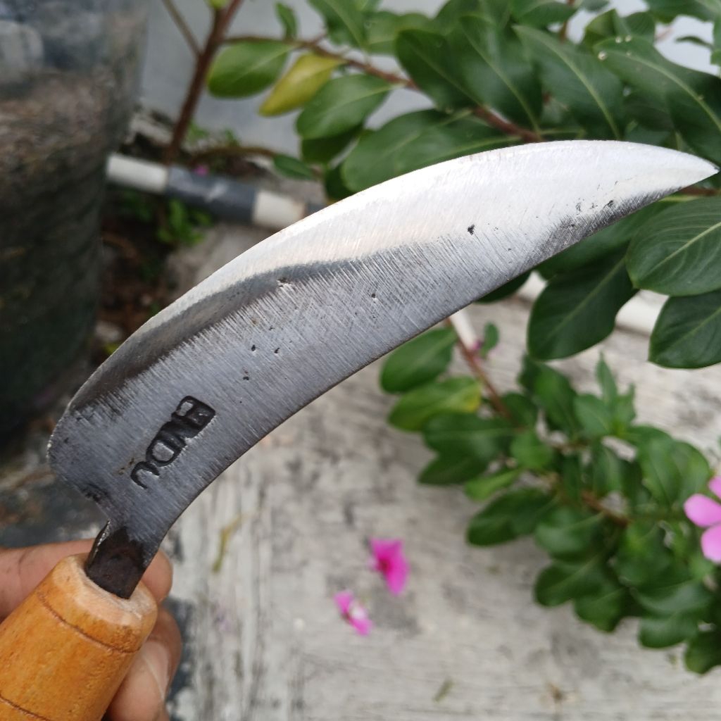 Jual Pisau Raut Bambu Bahan Baja | Shopee Indonesia
