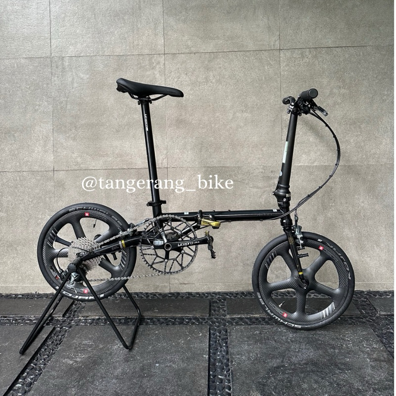 Jual Sepeda Fnhon Gust 16 Inch 10 Speed Carbon Wheel | Shopee Indonesia