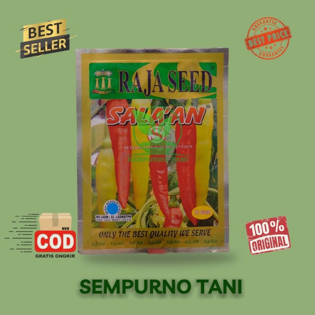 Jual Benih Cabe Rawit Setan SALAKAN SALA’AN 10 Gram - raja seed rawit ...