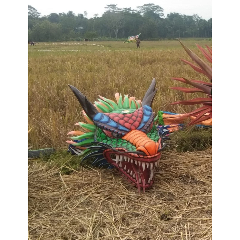 Jual KEPALA LAYANGAN NaGA DM60 | Shopee Indonesia