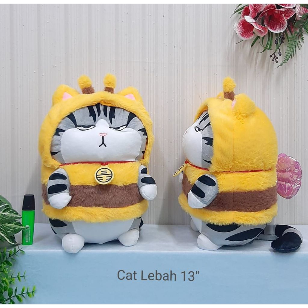 Jual Boneka Lucu Cat Kucing Lembut | Shopee Indonesia