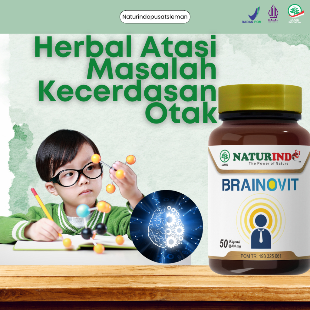 Jual Suplemen Nutrisi Otak Daya Ingat Obat Pintar Alami Vitamin Otak ...